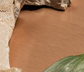 Homapal | Special laminates made in Germany